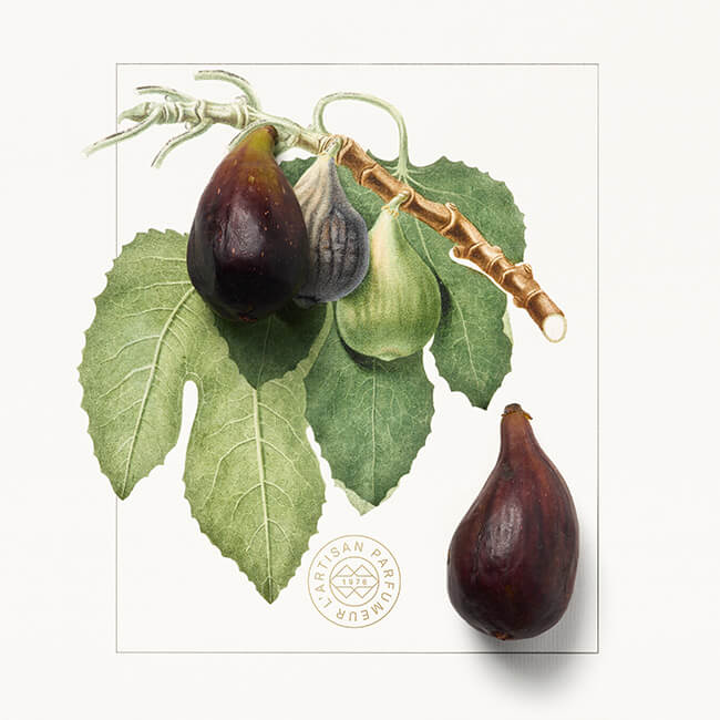 Premier Figuier Body & Hand Wash 300ml | L'Artisan Parfumeur US